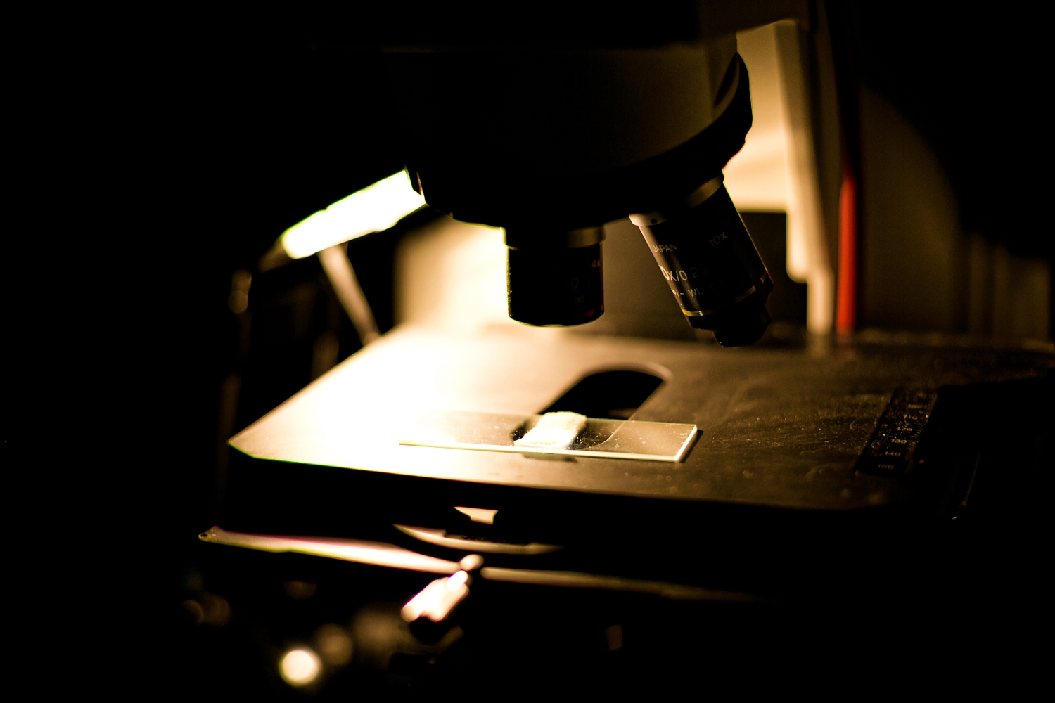 Era Polymers New Zealand – Polyurethane Systems House